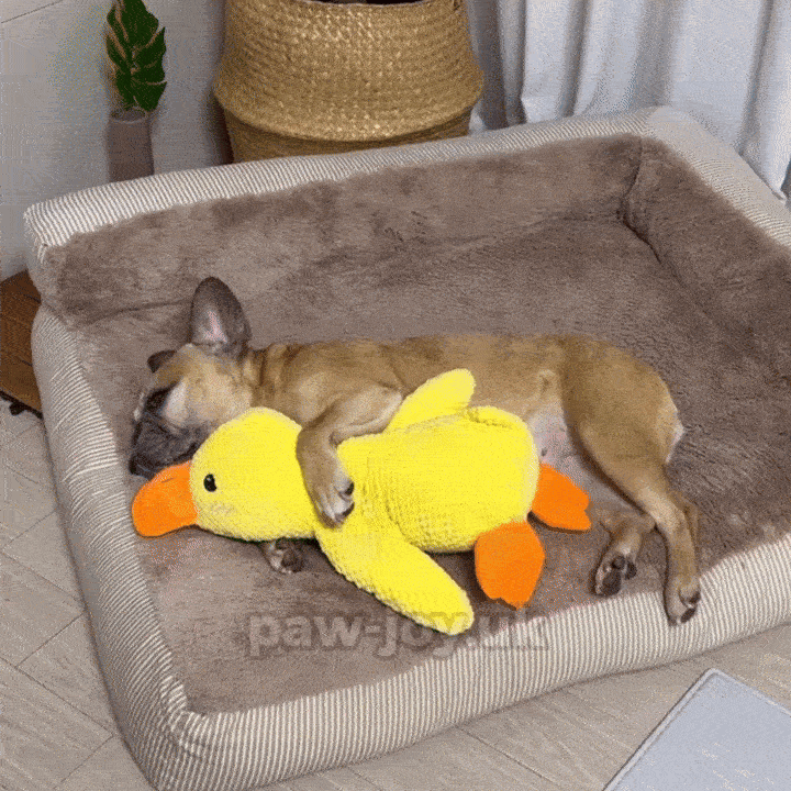 PawJoy™ - Calming Duck