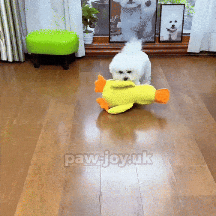 PawJoy™ - Calming Duck